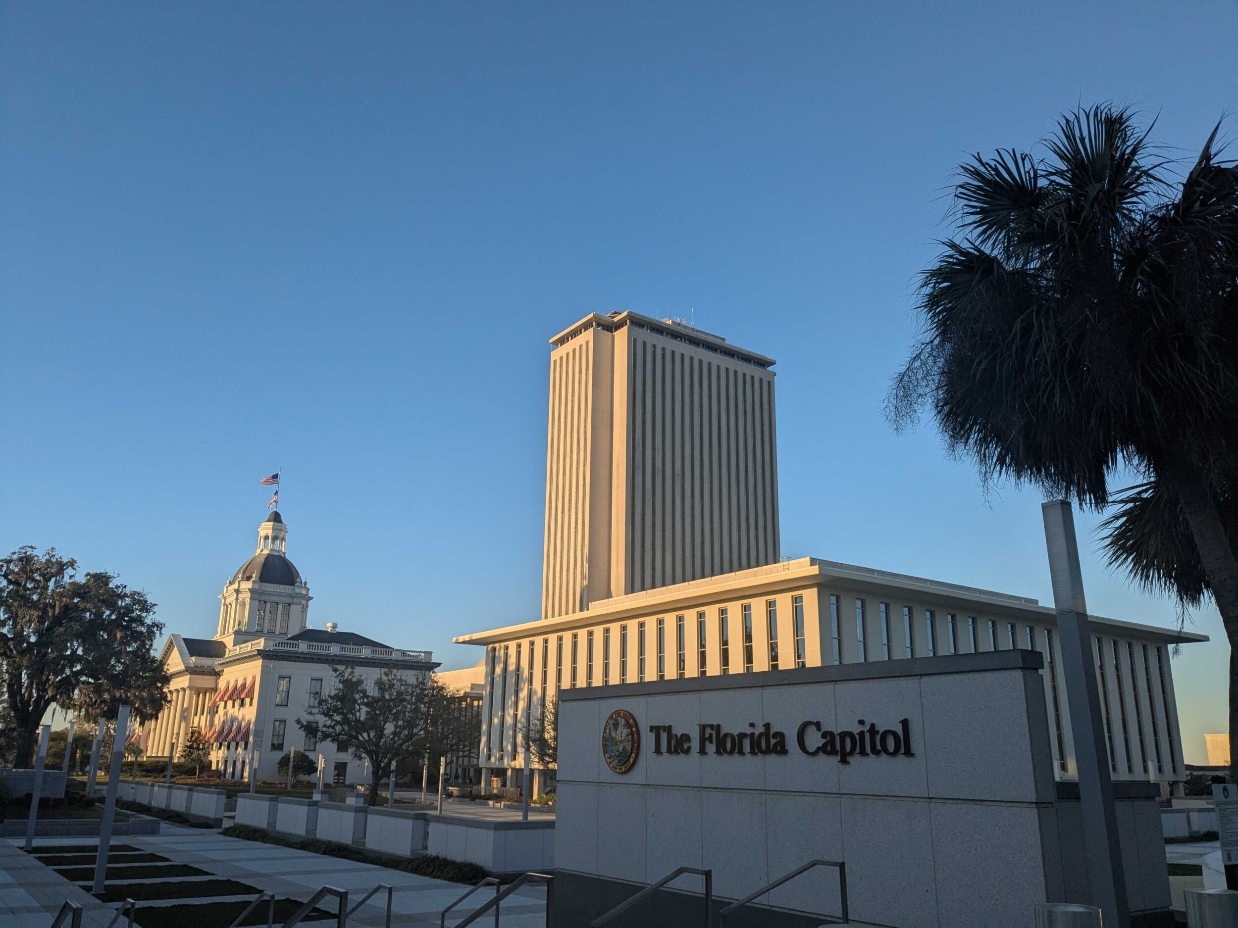 Home - Common Cause Florida